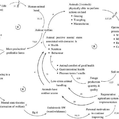 Causal Loop Diagram Of The Potential Causes Effects Of Implementing A