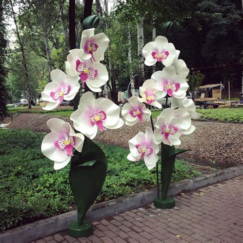 Наши тропические питомцы на @voronezhgorodsad . Наблюдали за ...