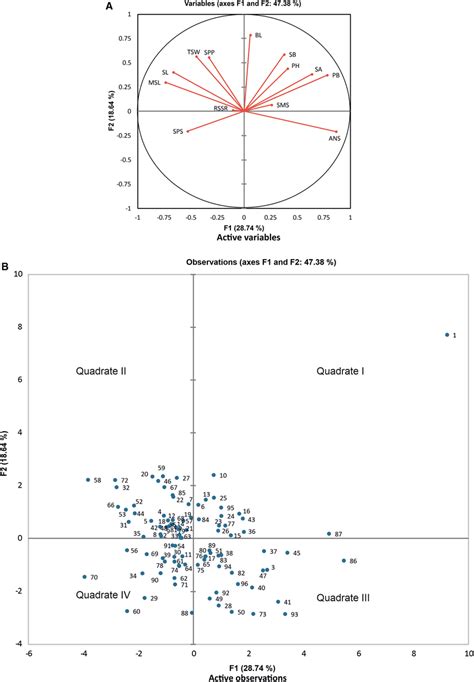 A Circle Of Correlation Between Variables Phenotypic Traits After Download Scientific Diagram