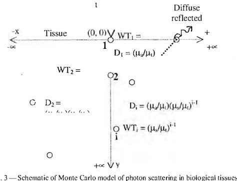 Figure 3 From Image Reconstruction Of Optical Attenuation Coefficient Variation In Biological