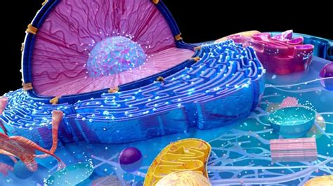 Polish Scientists Co Develop Nucleotide Synthesis Method To Facilitate