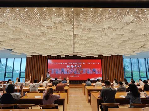 江门市江海区民间文艺家协会第一次会员大会顺利召开！澎湃号·政务澎湃新闻 The Paper