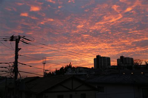 早起きは三文の徳 by ひんろ ID12786246 写真共有サイト PHOTOHITO
