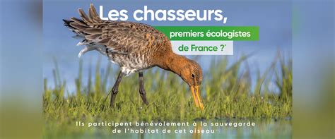 Accueil Fdc19