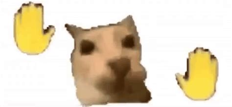 Dance Cat Dance Cat Hands  Dance Cat Dance Cat Hands Shimmy Cat