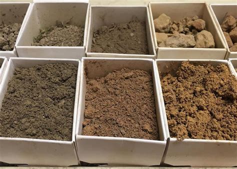 How To Take A Soil Sample Mississippi State University Extension Service