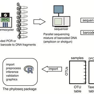 PDF Phyloseq An R Package For Reproducible Interactive Analysis And Graphics Of Microbiome