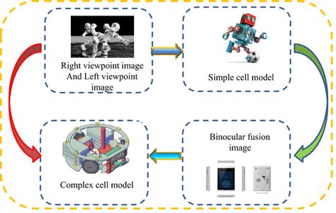 Heterogeneous Binocular Vision Model Framework Download Scientific