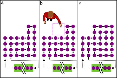 continuous sculpting persistent swarm shape formation adaptable to
