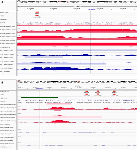 Chromatin Features Of Risk Associated SNPs Functional Annotation In