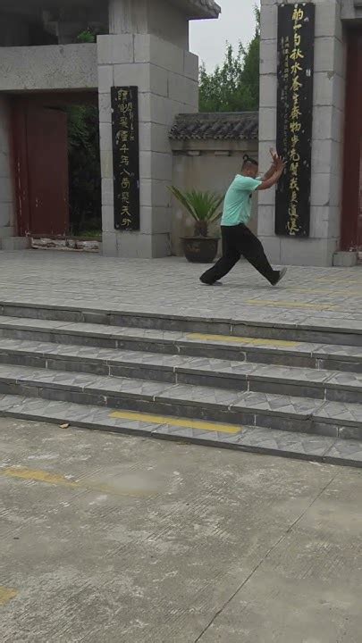 把心意带到自己走过的每个地方~庄子故里~安徽亳州心意拳 武术 身体和灵魂总有一个在路上 Kungfu Martialarts 发扬