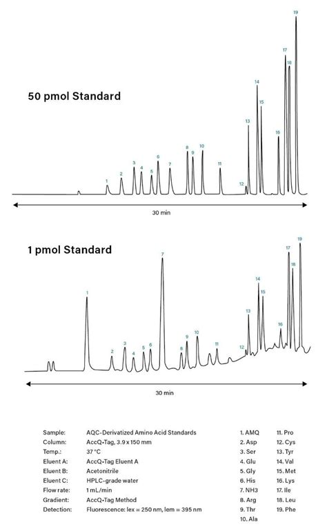 Amino Acids Hplc Analysis At Charlotte Wiltshire Blog