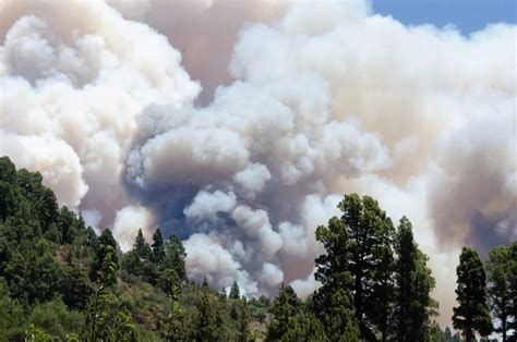 El Incendio En La Isla Española De La Palma Consumió Casi 5000
