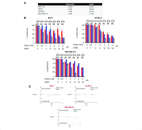 Synergistic Interactions Between Pak And Camkii Inhibitors A