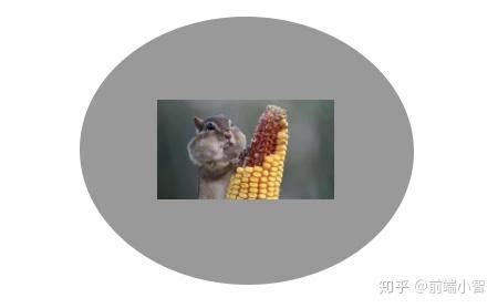 SVG 入门指南 看完 对SVG结构不在陌生 知乎