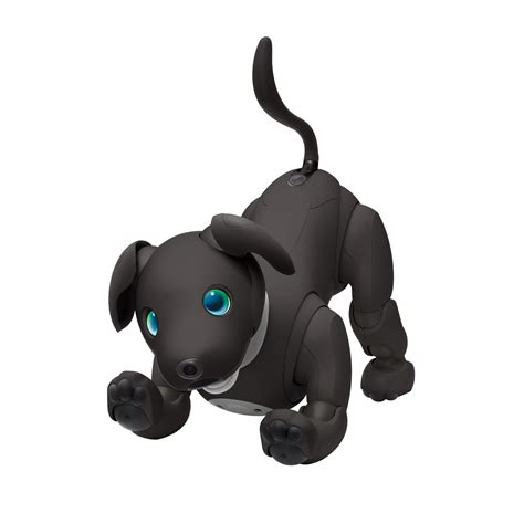 Aiboのご購入（カスタマイズプラン） Aibo