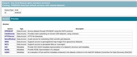 Nested Datasets Don T Get Standard Services According To DataType
