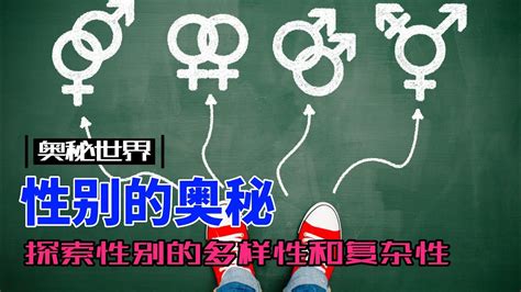 性别的奥秘 探索性别的多样性和复杂性 奥秘世界 youtube