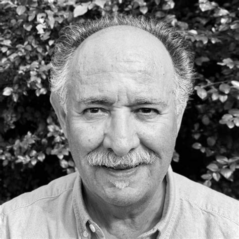 dipl ing hossein rahmanzadeh berater für supply chain quality und