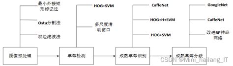 毕业设计：基于机器学习的草莓成熟度识别分类系统 人工智能 Python 目标检测传统草莓成熟度分类的方法 Csdn博客