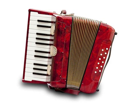 アコーディオン EAmykcoCS8 carrosnovale br