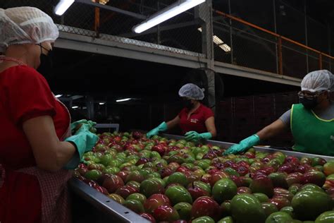 Prioriza Agricultura Acciones De Sanidad E Inocuidad En 2024 Acustik