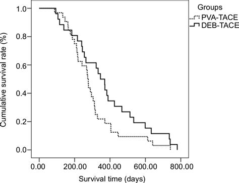 Safety And Efficacy Assessment Of Transarterial Chemoembolization Usin