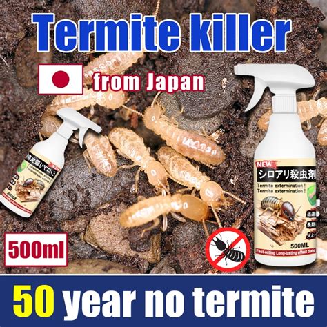 Professional Termite Extermination Sg Termite Killer Termite Spray White Ant Killer Herbal