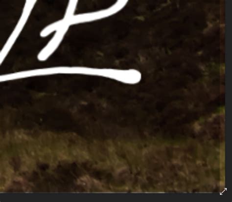 All Images Get A Transparent Border V Bugs Found On Windows Affinity Forum