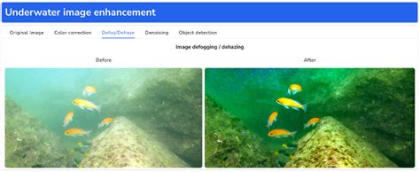 GitHub Vidushi Gupta Underwater Image Enhancement Major Project For Th Sem SRMIST