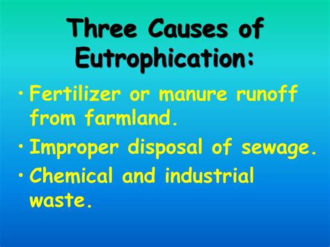 Ppt Eutrophication Powerpoint Presentation Free Download Id 4291608