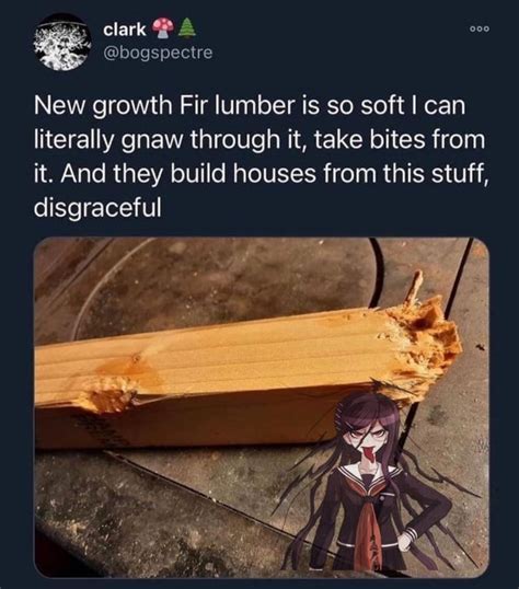 Yeah 💯 R Danganronpa