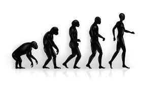Beginners Guide To Evolution Insufferable Intolerance