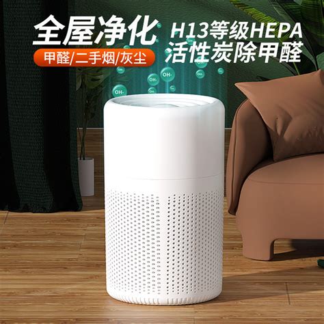 空氣凈化器 家用除甲醛 房間負離子 室內除煙寵物 異味小型凈化機 Dwfp 蝦皮購物