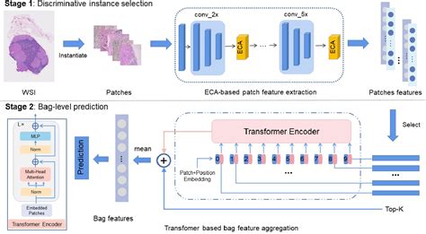 Figure 1 From Attention Multiple Instance Learning With Transformer