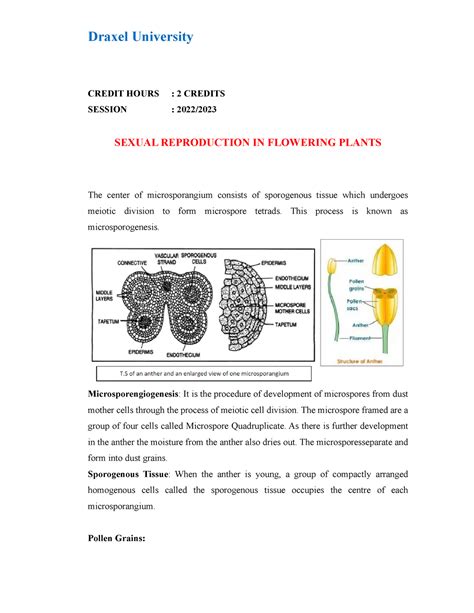 Lecturer Notes Sexual Reproduction In Flowering Plants Chapter 2 Draxel University Credit