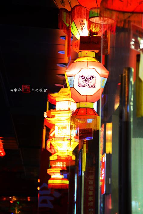 灯会阿彤 站酷zcool