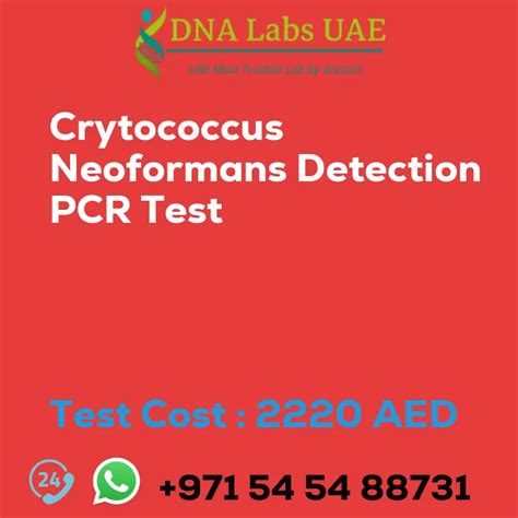 Crytococcus Neoformans Detection Pcr Test Cost Dna Labs Uae