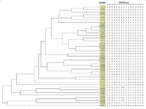 Upgma Dendrogram Based On The Allelic Profiles Of The 39 M