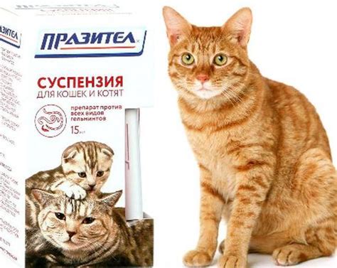 Ветом для кошек показания и инструкция по применению отзывы цена