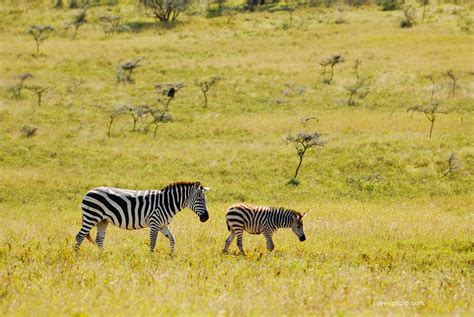 노래하는 풍경 나를 위해 존재하는 배우자라면 항상 부족하기만 한 상대이지만 상대를 위해 존재하는