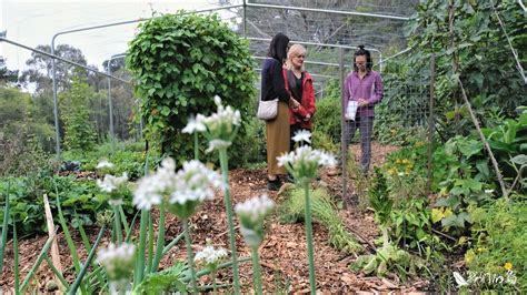 燃燒的澳洲 野火後的新生 樸門農法、種子銀行和原住民的文化燃燒 環境資訊中心