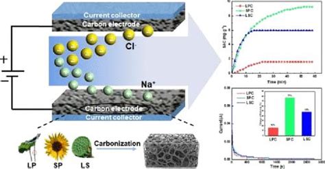 源自多孔生物质的多级多孔碳用于高性能电容去离子the Journal Of Physical Chemistry C X Mol