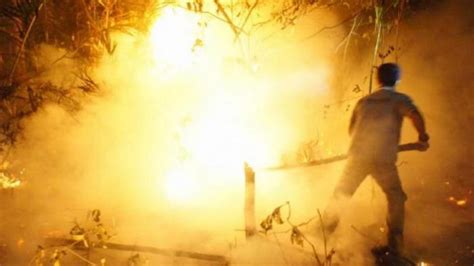 Waspada Sudah Kasus Kebakaran Hutan Dan Lahan Di Daerah Ini Posbelitung Co