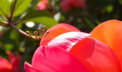 Incremental Improvement