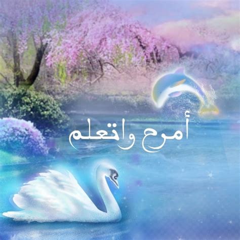 أمرح و اتعلم 🧑‍🏫 Youtube