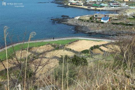 제주도 마을탐방 제주 43의 흔적 잃어버린 마을 곤을동 네이버 블로그