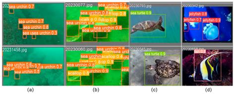 Dsw Yolov8n A New Underwater Target Detection Algorithm Based On