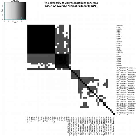Average Nucleotide Identity For 50 Genomes Of The Genus Download Scientific Diagram