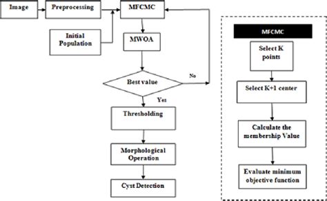 Figure 1 From Automated Knowledge Extraction Of Liver Cysts From Ct